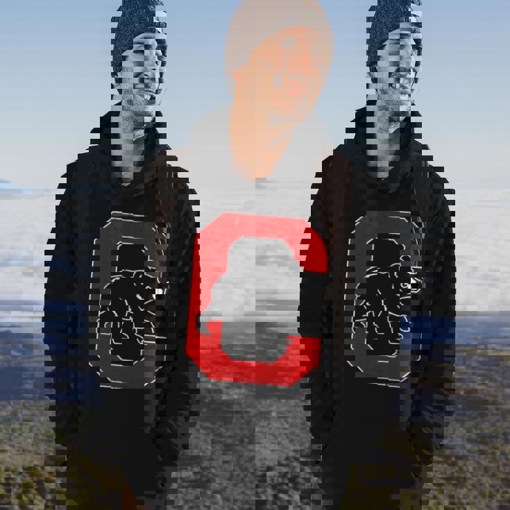 Vintage Chicago Team Hoodie - Thegiftio